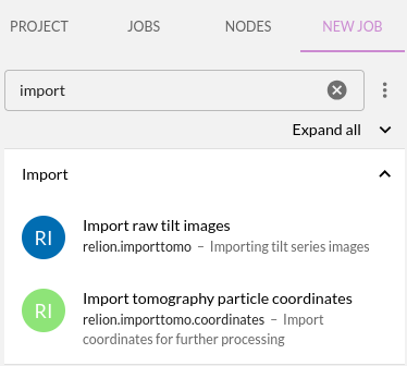 1. Import data into the pipeline — CCP-EM Tutorials documentation